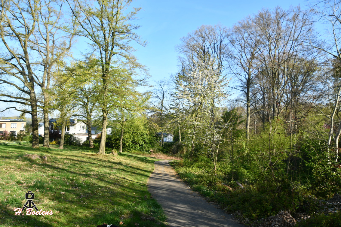 Wandeling Kasteel Schaesberg